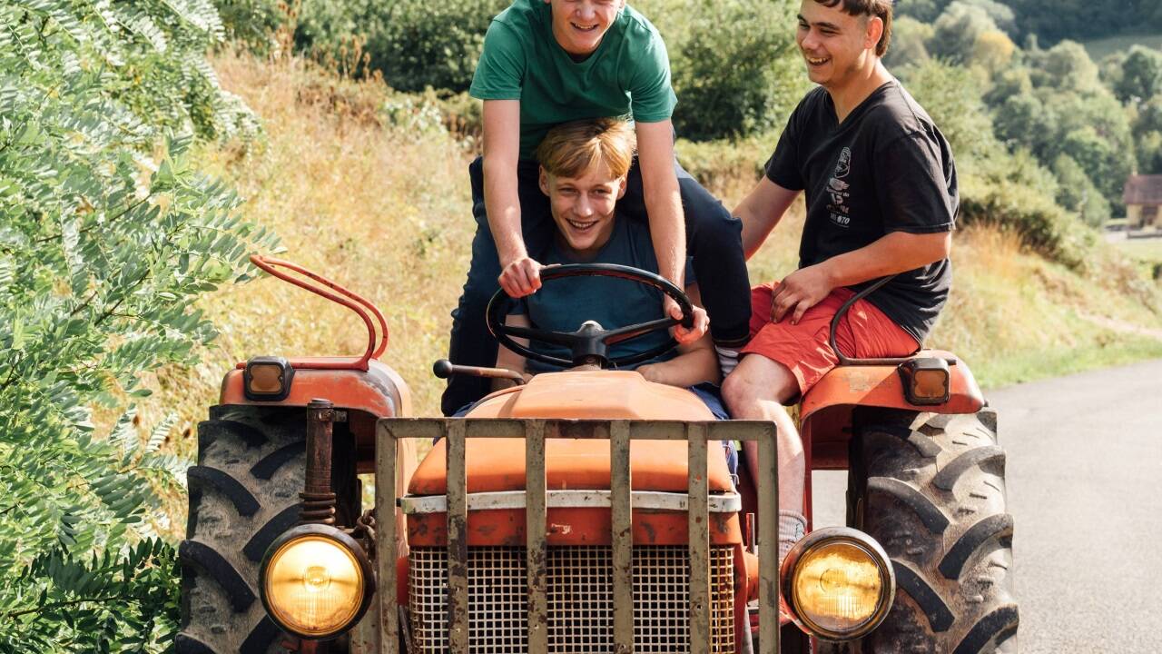 Die "Könige des Sommers" im Kino: Mit dem Traktor zum Käsewettbewerb | SN.at